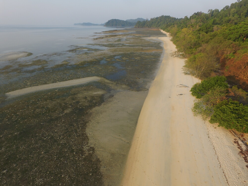 Seagrass Spotted in Myanmar (Burma) - SeagrassSpotter